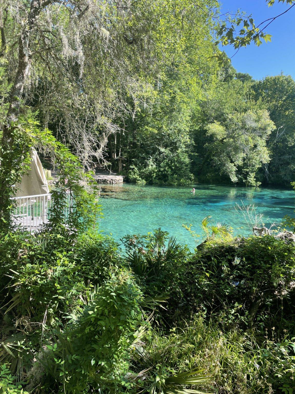 Ichetucknee Springs State Park-Everything You Need to Know Before ...